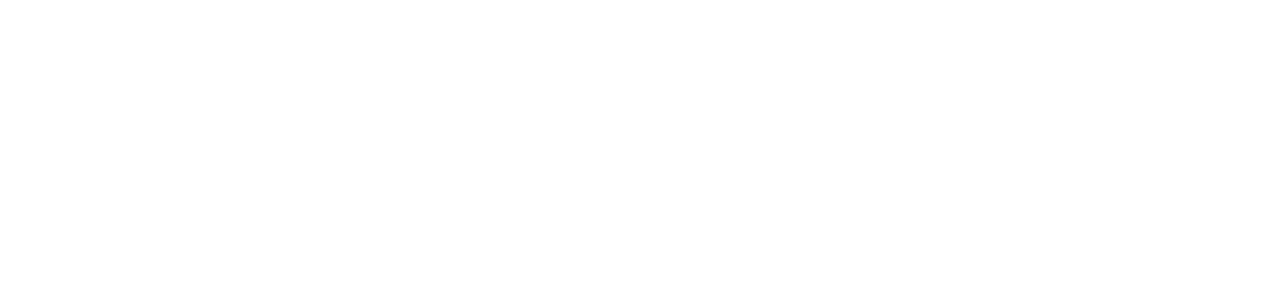 Rechtsanwalt und Fachanwalt für Steuerrecht Dr. Frank Rozanski